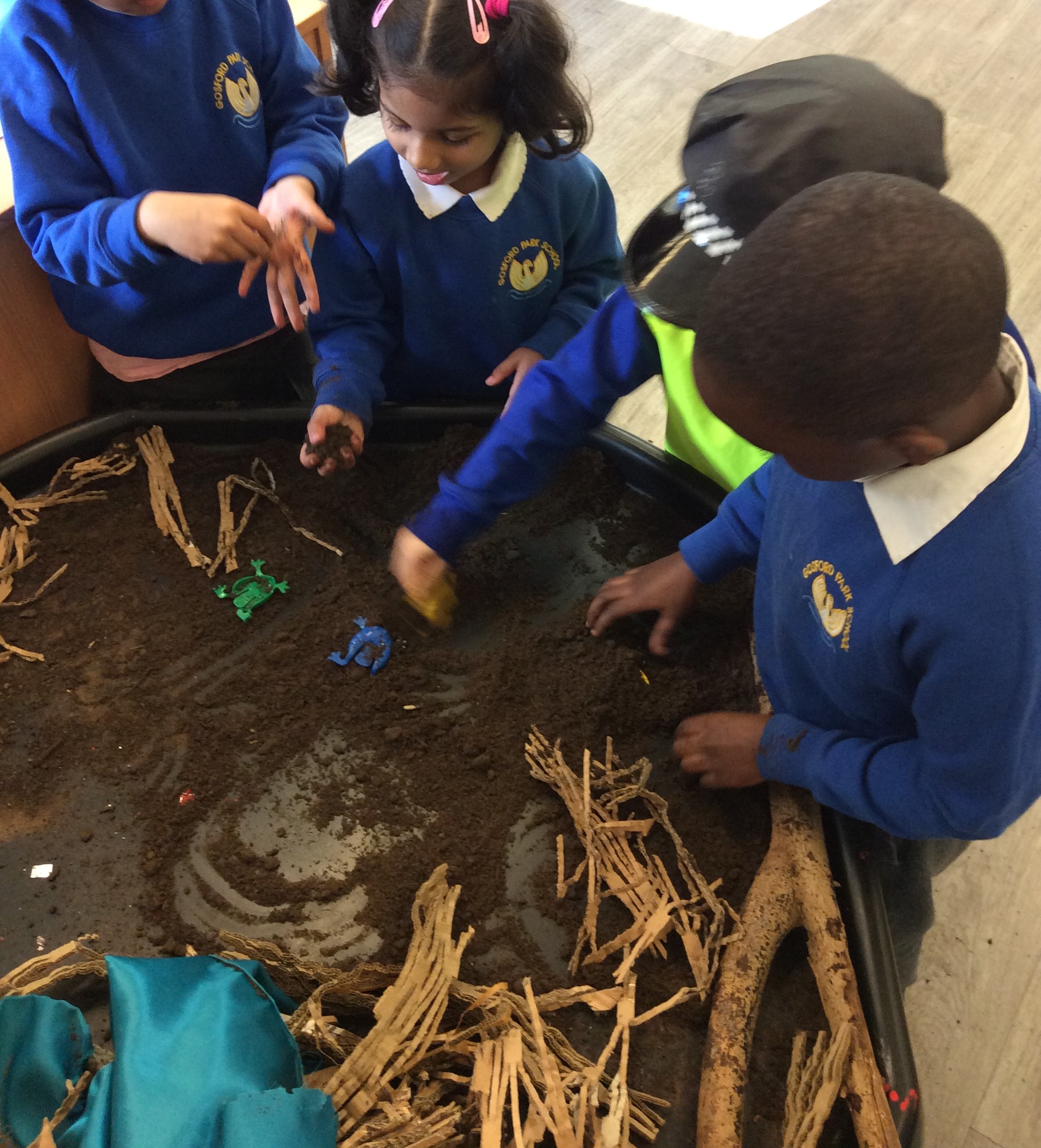 IMG_5387 - Gosford Park Primary School