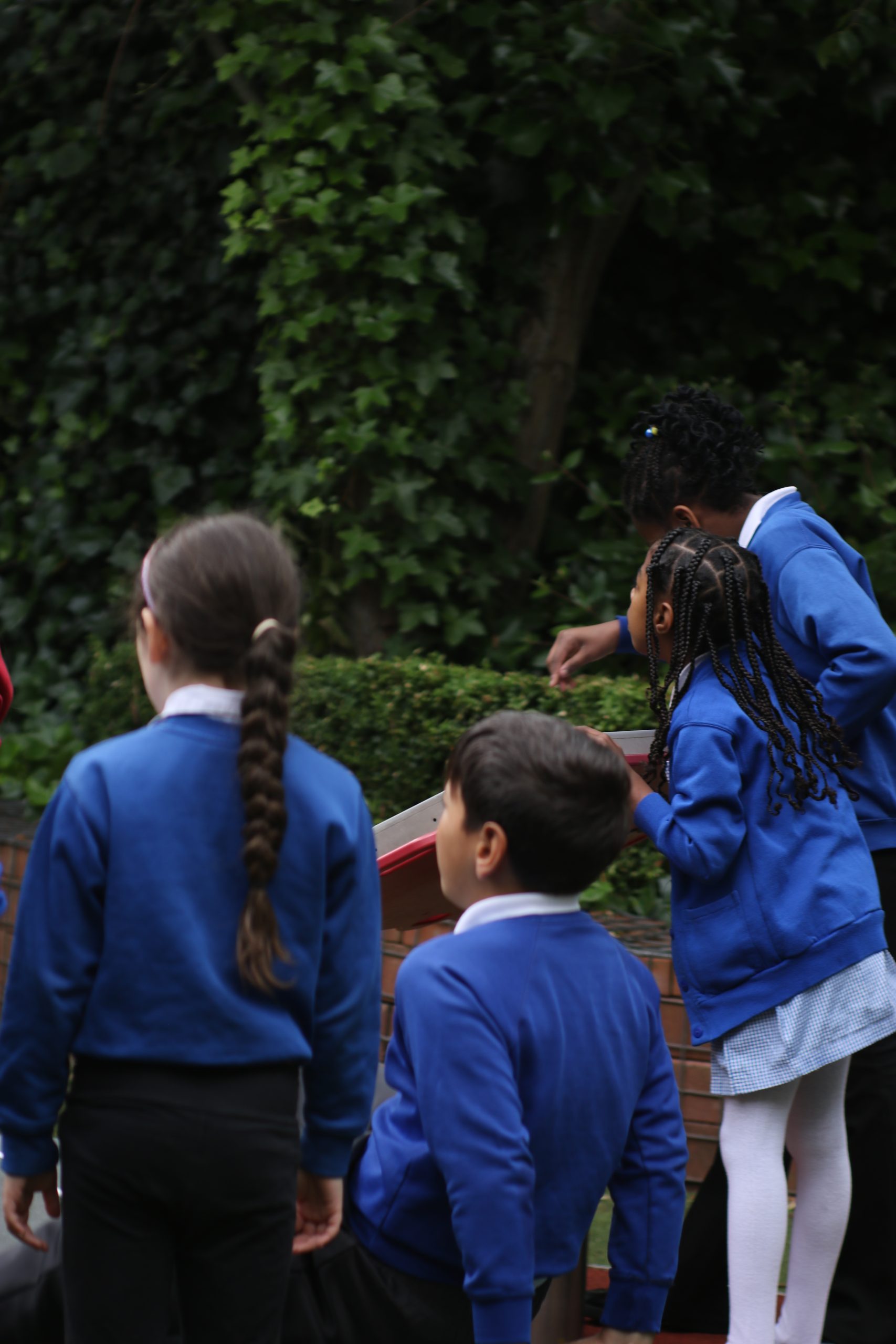 IMG_9717 - Gosford Park Primary School