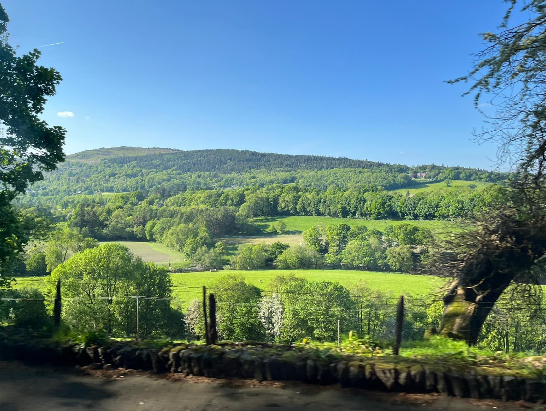 DYM-1 - Gosford Park Primary School